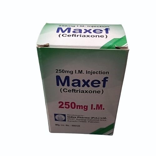 MAXEF 250 mg im Injection | Ceftriaxone - Fareed Pharmacy
